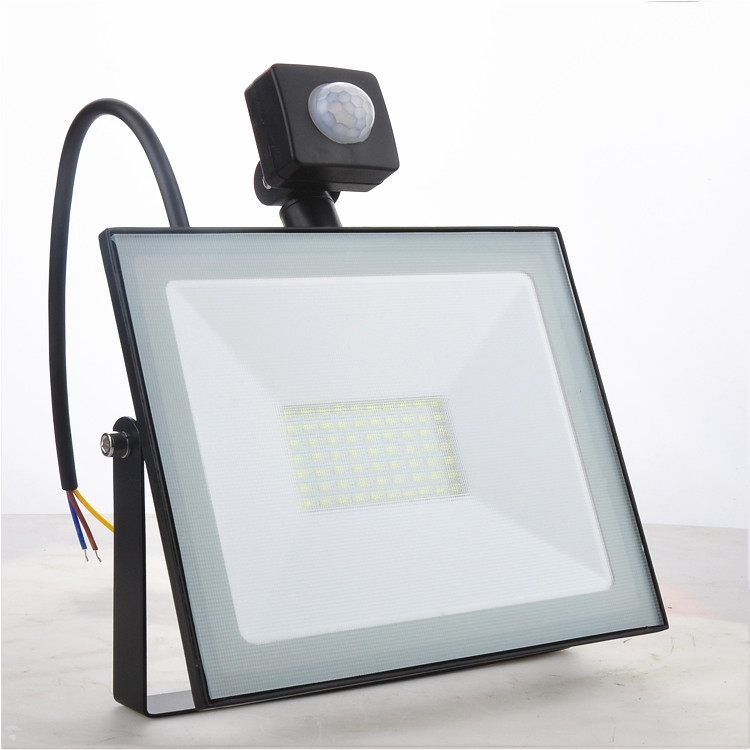 LED Floodlight With PIR Motion Sensor 10W 20W 30W 50W 100W LED Outdoor ...