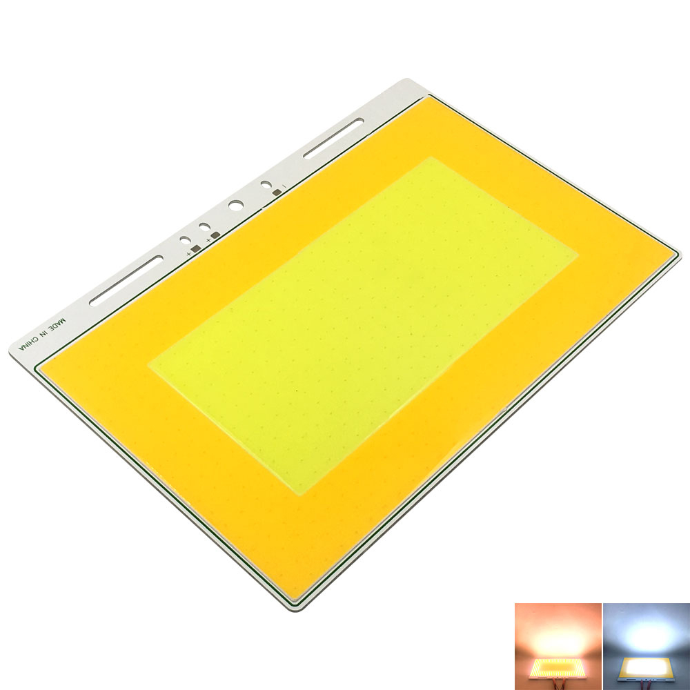 200W LED COB Light Module 310*210mm DC 12V 8000mA Dual Color | SatisLED